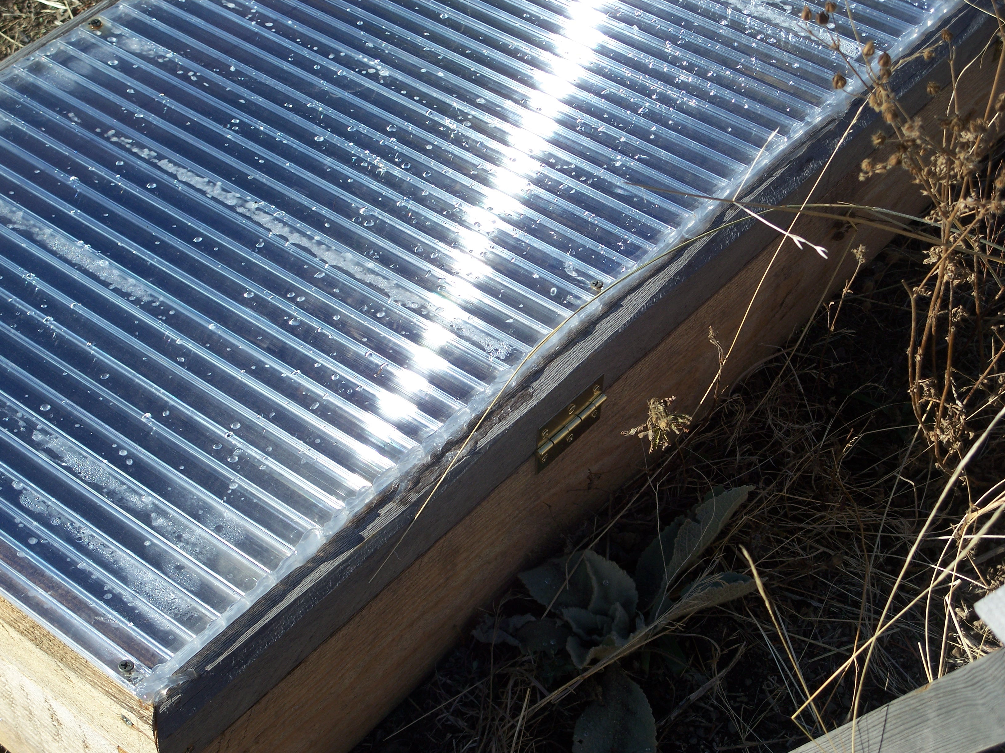 Krystal’s 2015 Winter Garden Journal - Highland Glenn Ranch